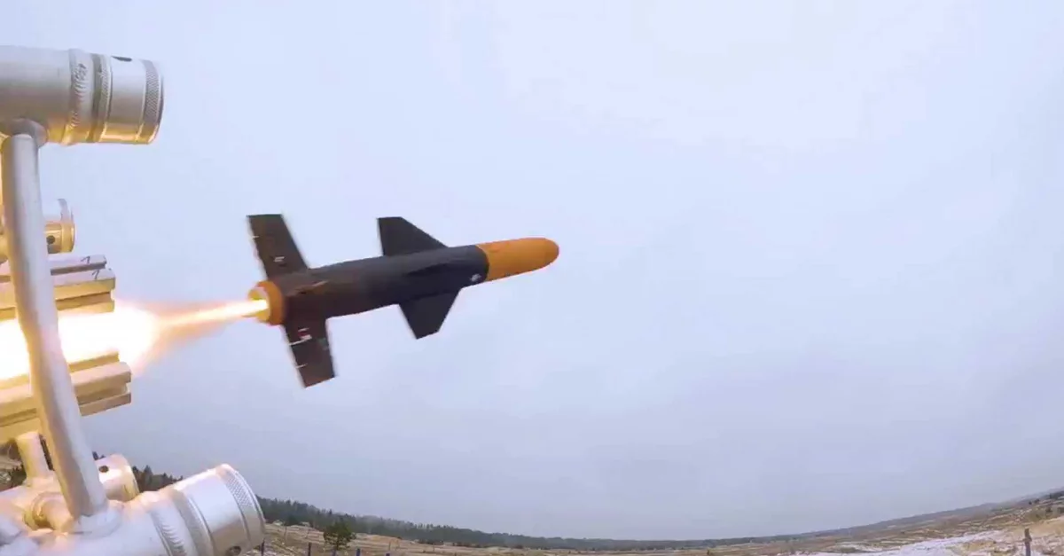 ВС стран Балтии (Литва, Латвия, Эстония) | Страница 389 | WarOnline.org | Израильский Военно ...